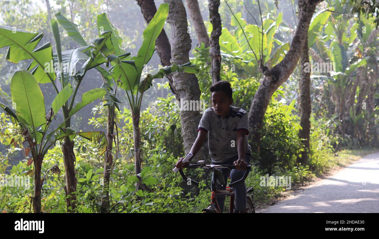 Most beautiful morning Stock Photo - Alamy
