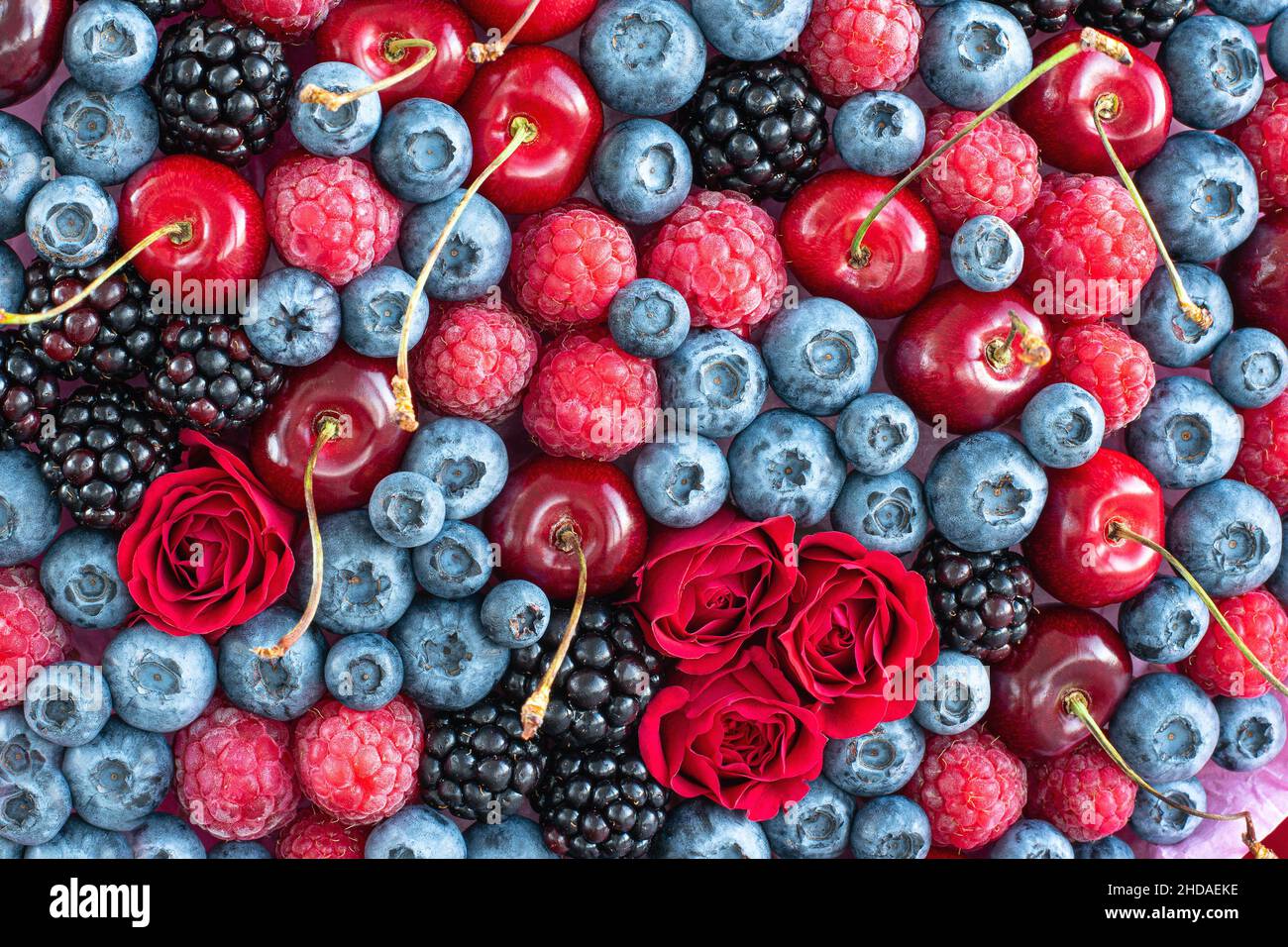 Colorful background made of different berries and flowers Stock Photo ...
