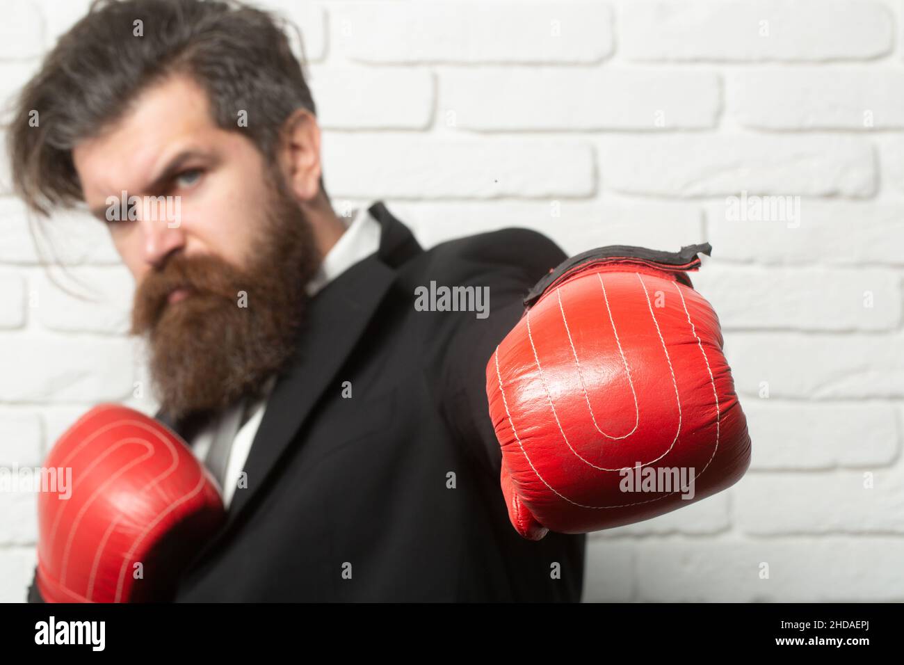 Crazy man boxing. Hard business. Businessman wearing suit standing in ...