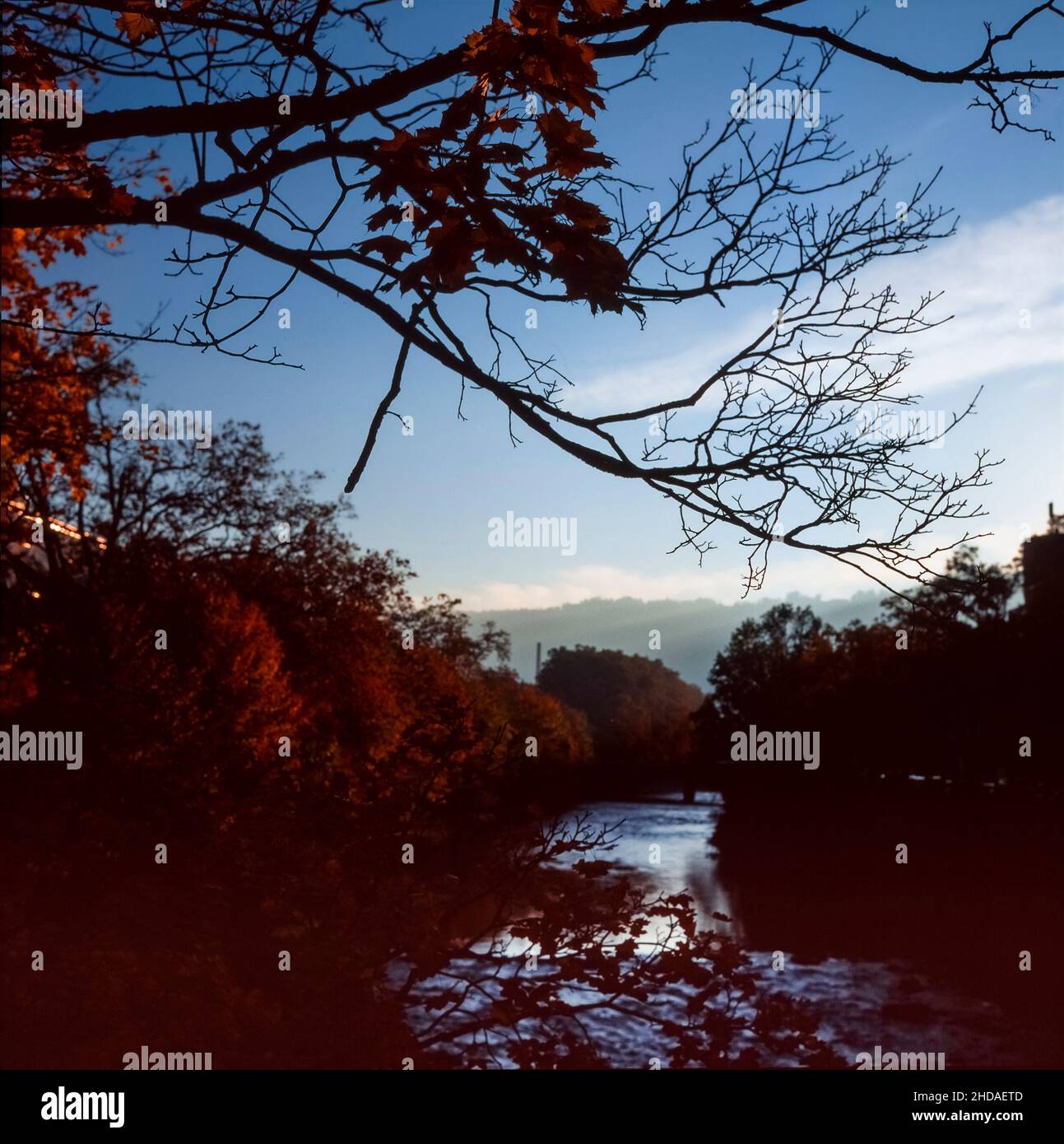 Colorful autumn trees and leaves in Zurich on the Sihl river Stock ...