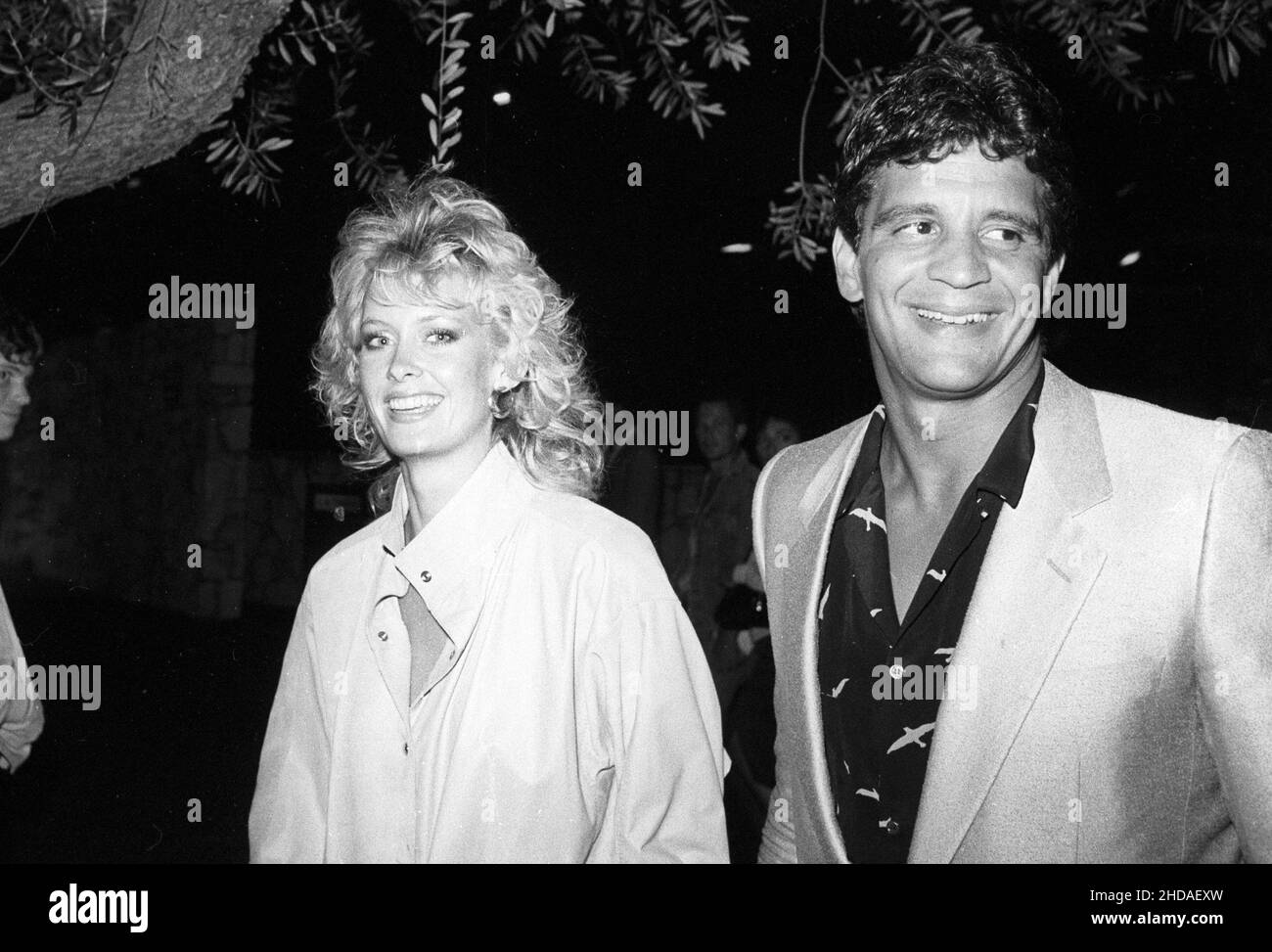 Ed Marinaro Circa 1980's Credit: Ralph Dominguez/MediaPunch Stock Photo ...