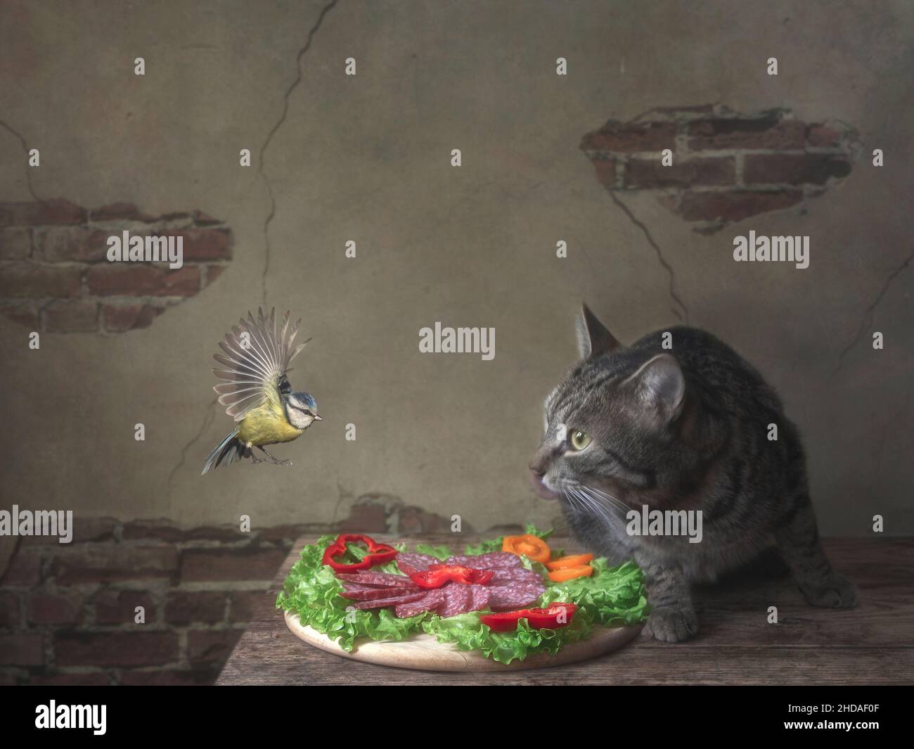 Animals posters hi-res stock photography and images - Alamy