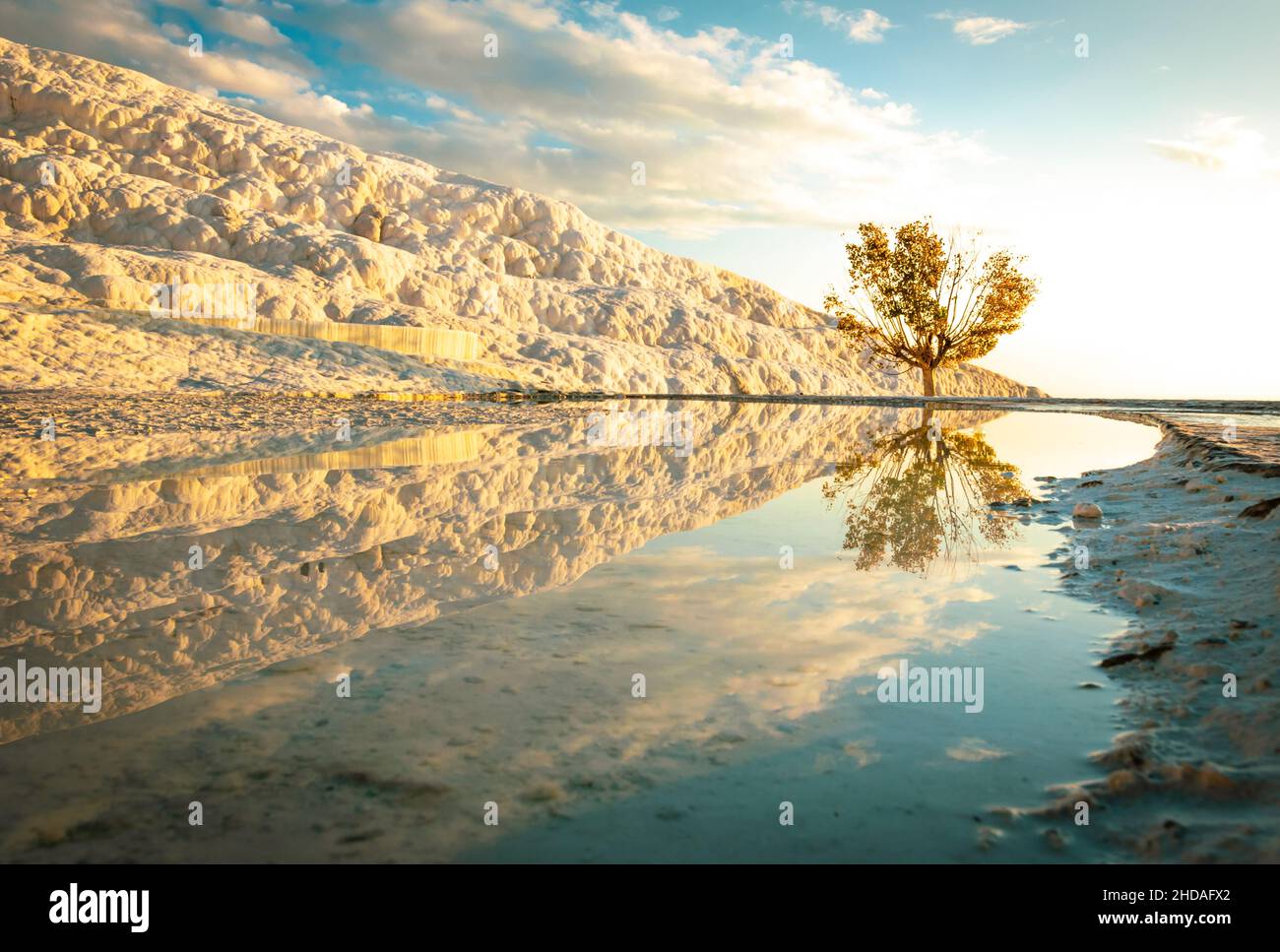 Golden tree and trevertines reflections in mineral spring water ...