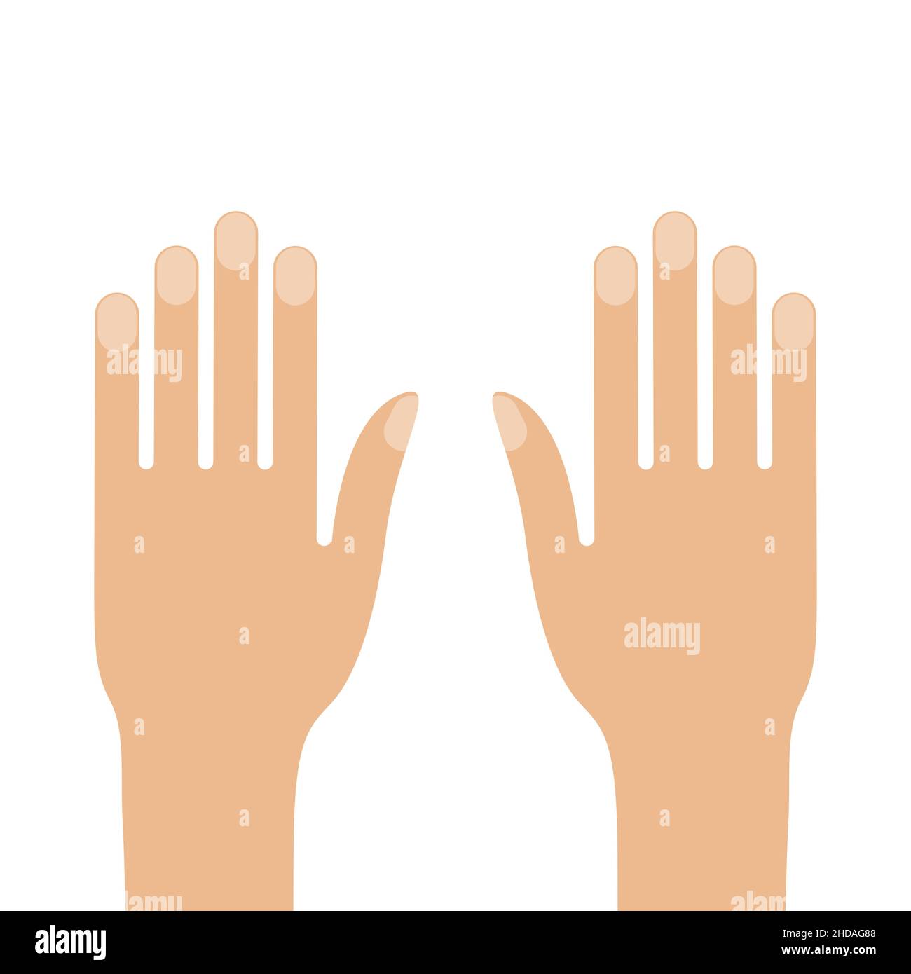 Left and right hand isolated on white Stock Vector Image & Art - Alamy