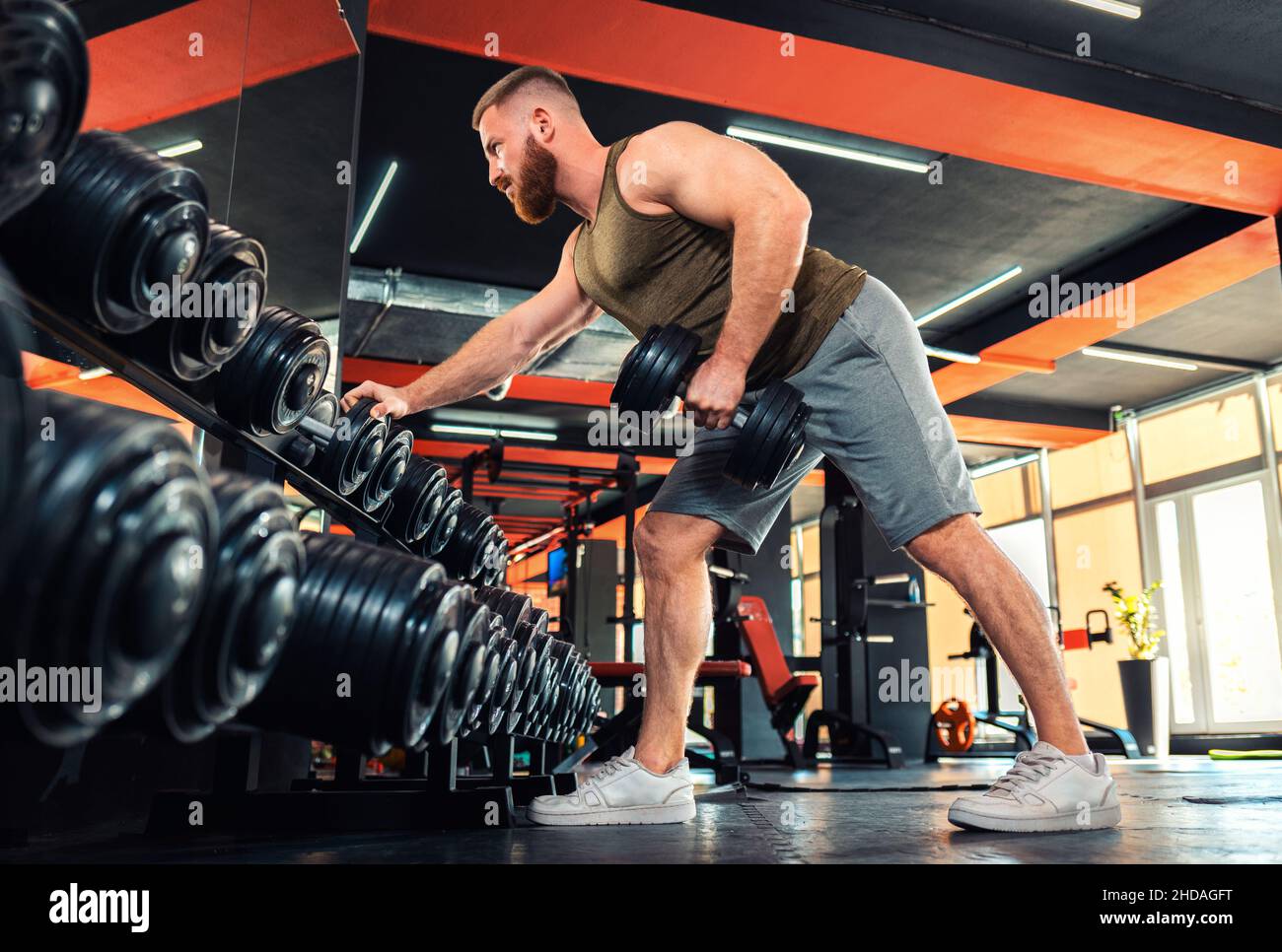Bent Over Dumbbell Row Muscles Worked