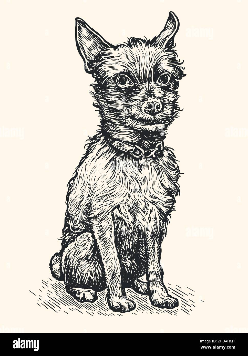 Little dog sketch. Hand drawn pet, puppy vector illustration Stock ...