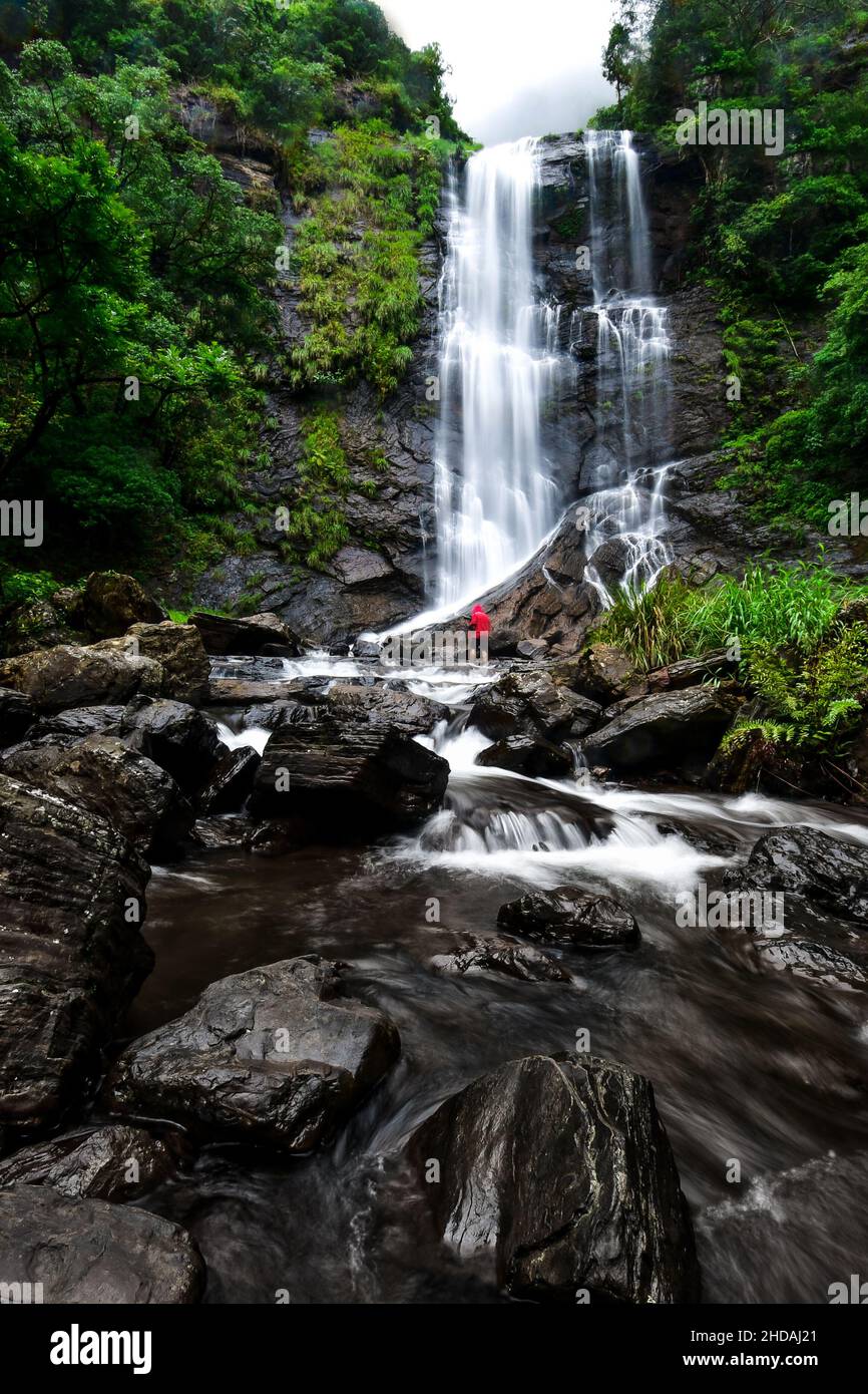 Waterfalls inside the Forest Stock Photo - Alamy