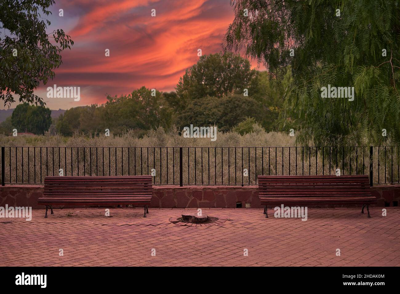 Two solitary benches in a park at sunset among trees. Empty space ...