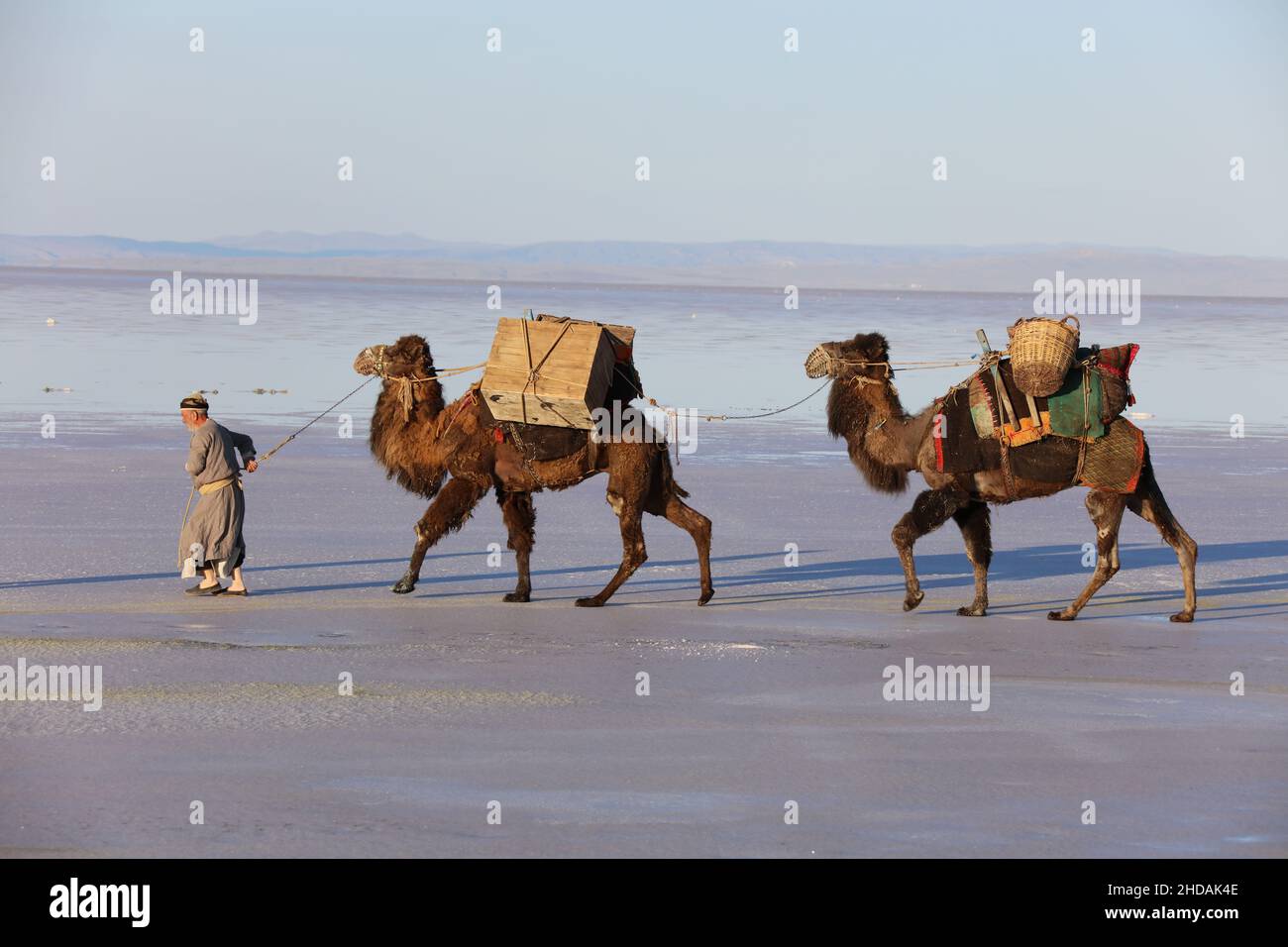 Camel load hi-res stock photography and images - Alamy
