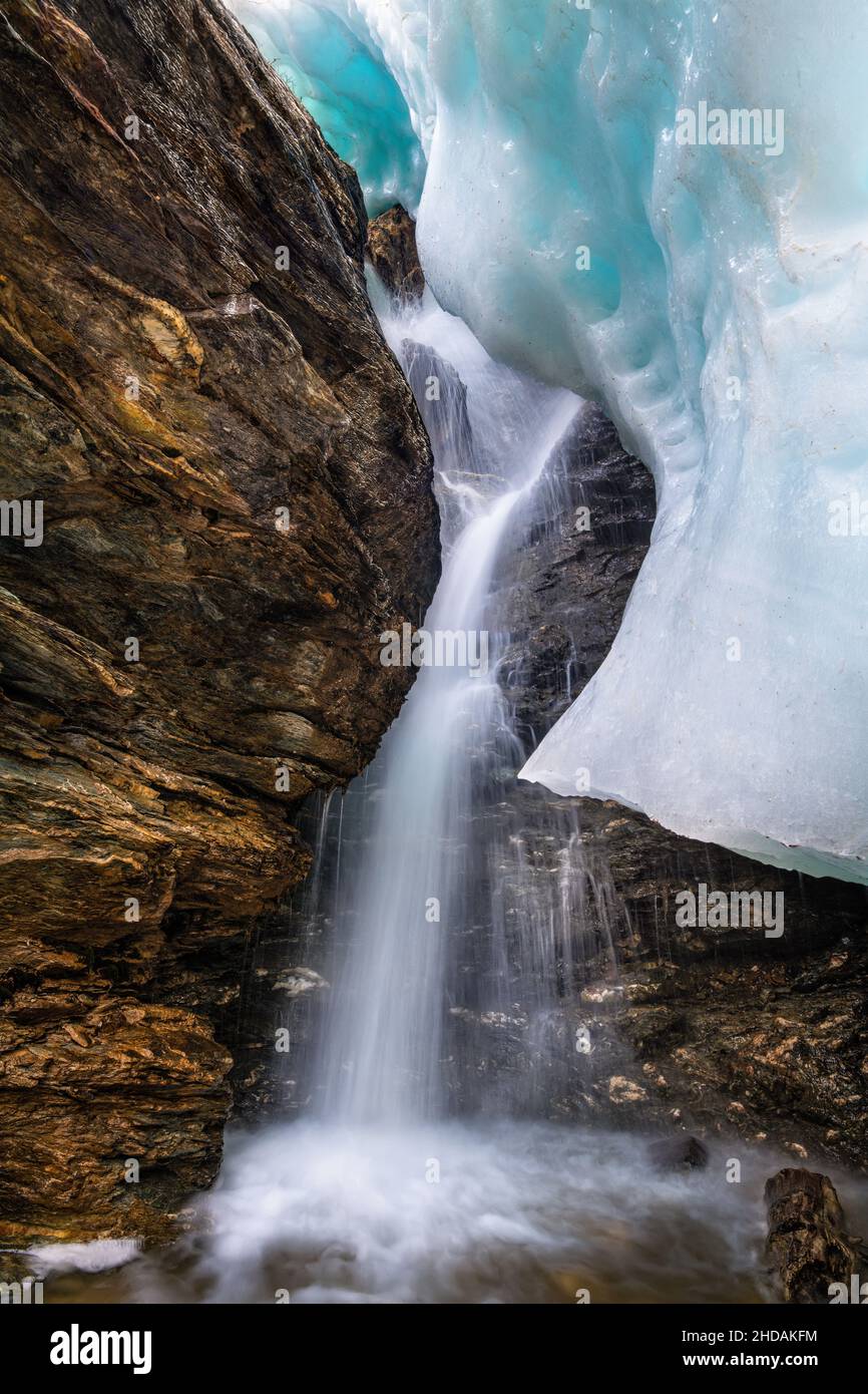 Alaska dragonfly hi-res stock photography and images - Alamy