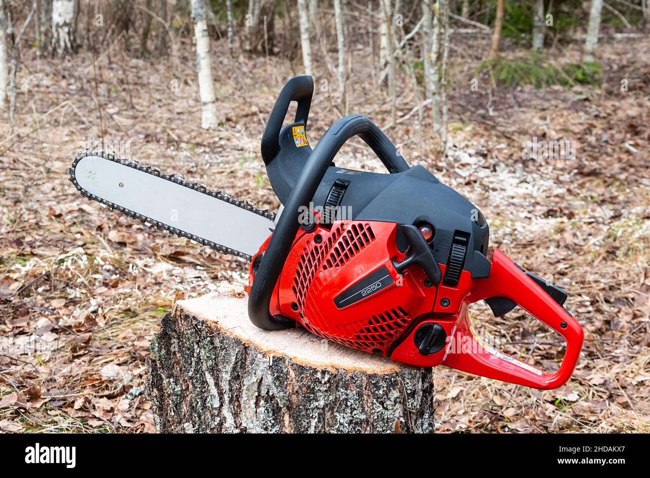 Hand gasoline chainsaw on a trimmed tree trunk. Professional working ...