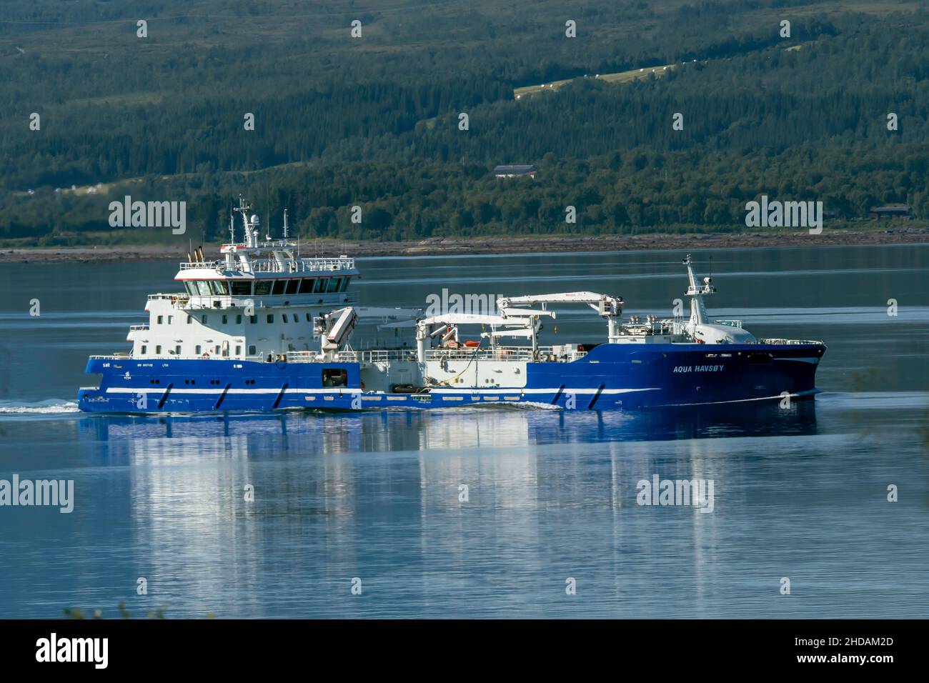 Fish carrier hi-res stock photography and images - Alamy