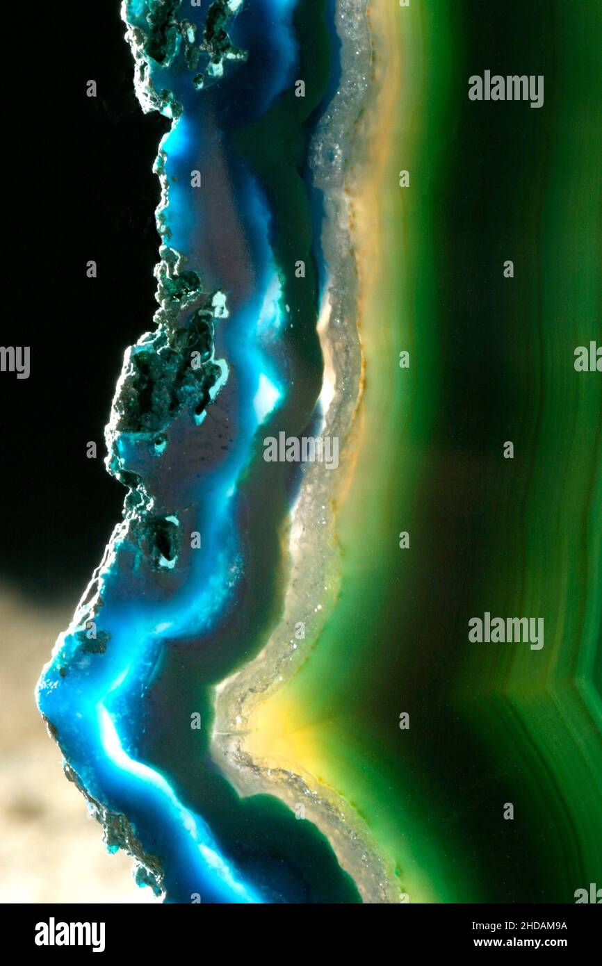 Moosachat hi-res stock photography and images - Alamy