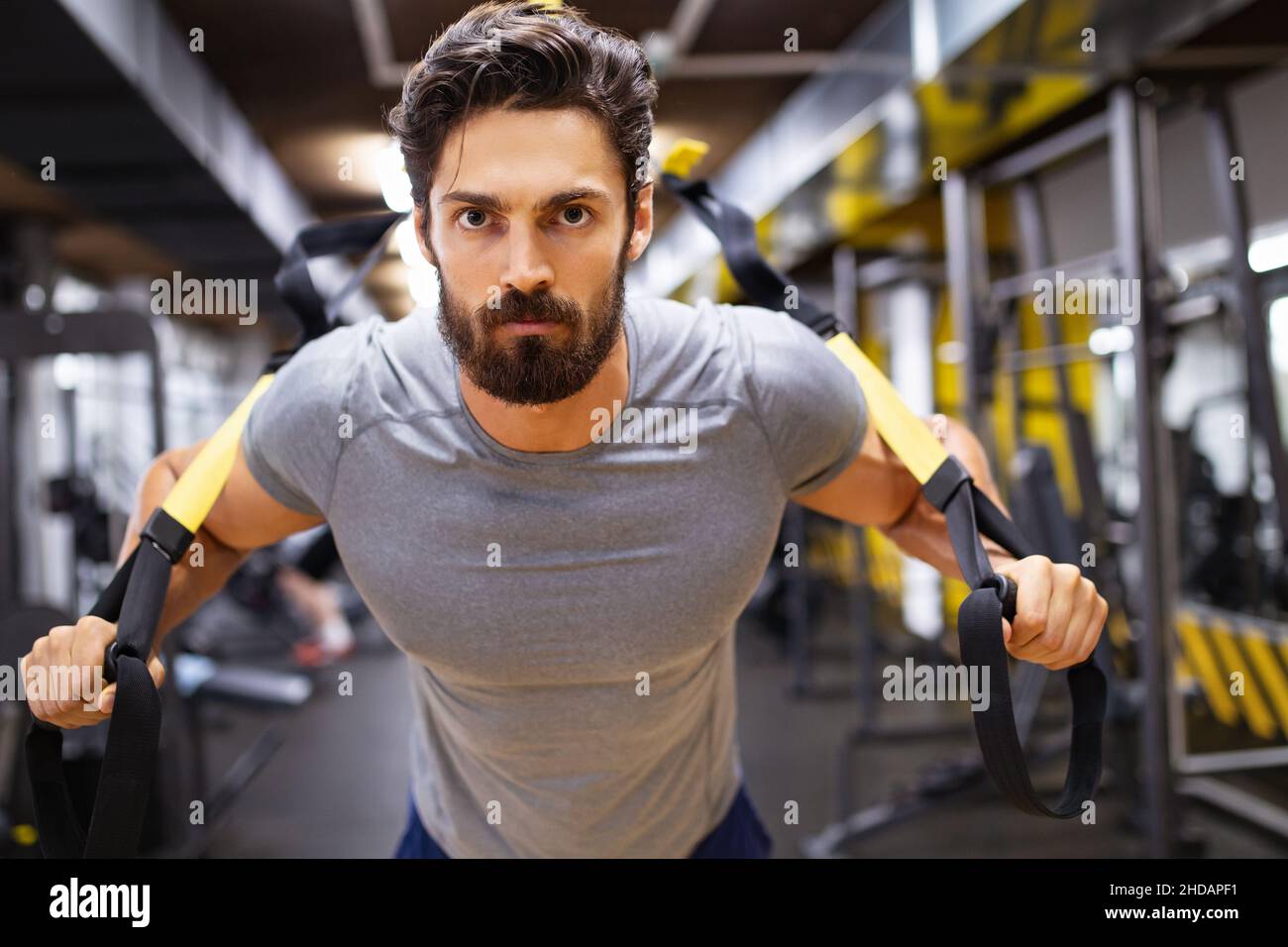Portrait of fit man working out in gym. Sport people healthy lifestyle ...