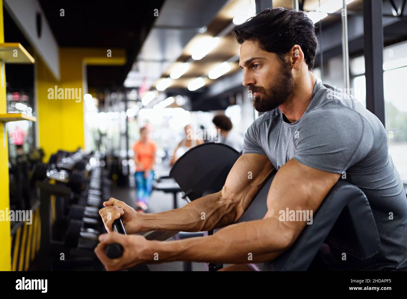 Muscular bodybuilder handsome man doing exercises in gym. Sport people ...