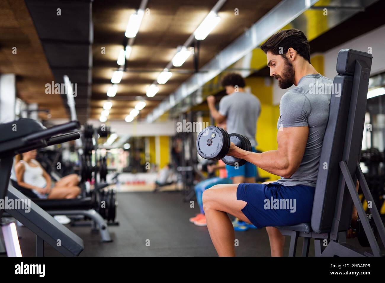 Portrait of fit man working out in gym. Sport people healthy lifestyle ...