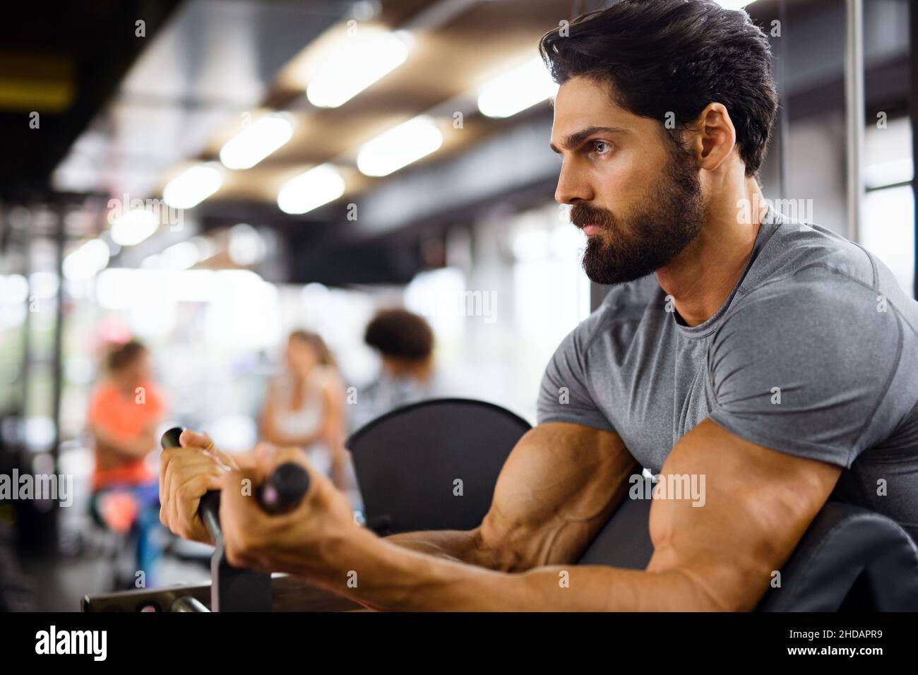 Muscular bodybuilder handsome man doing exercises in gym. Sport people ...