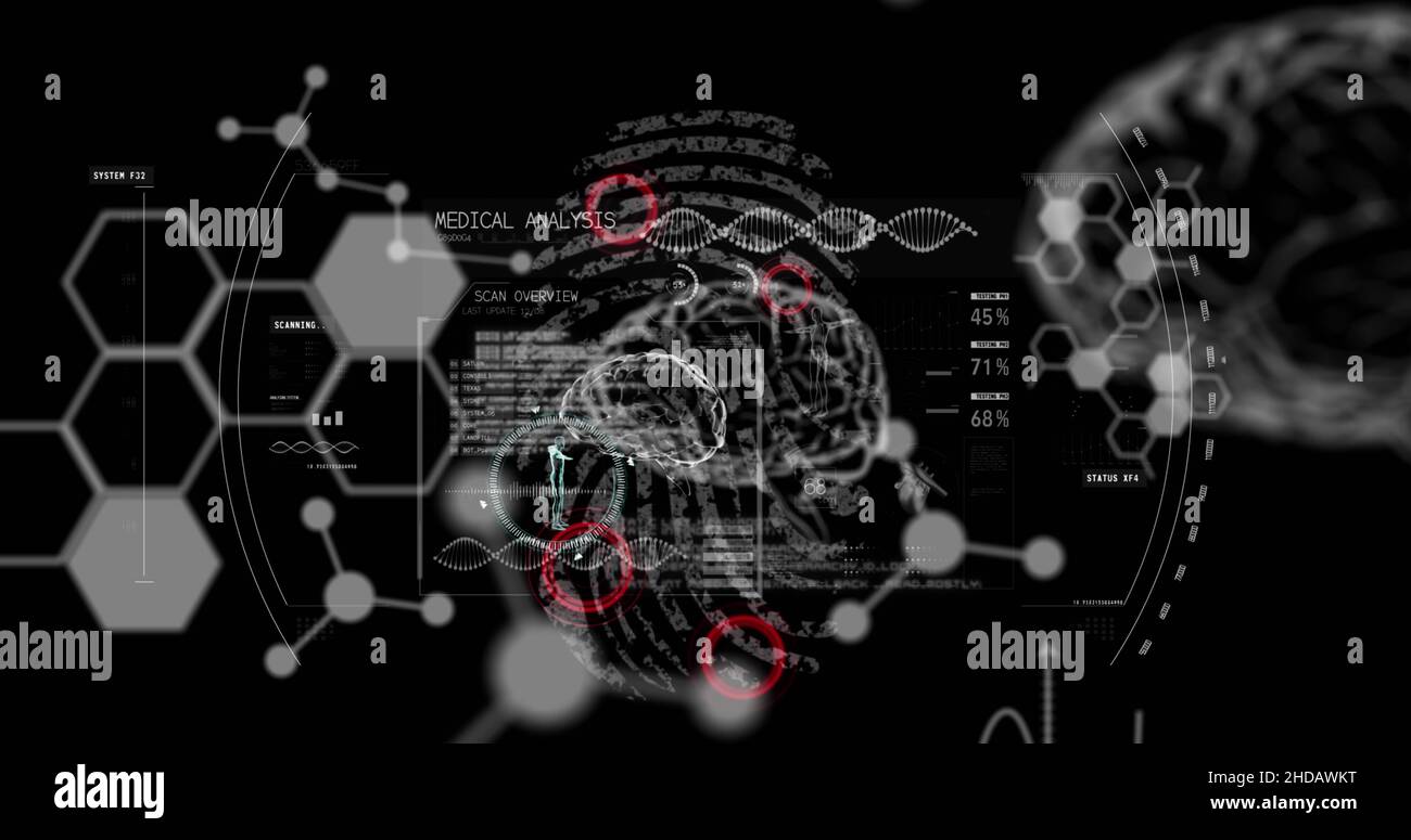 Image Of Data Processing Human Brains And Dna Strand Spinning Over Biometric Fingerprint Stock