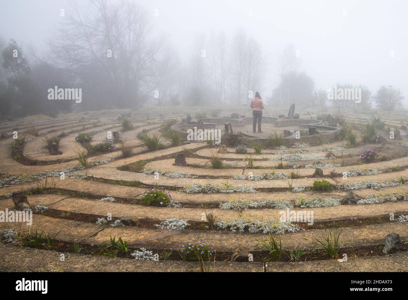 A person standing in the center of a labyrinth Stock Photo - Alamy