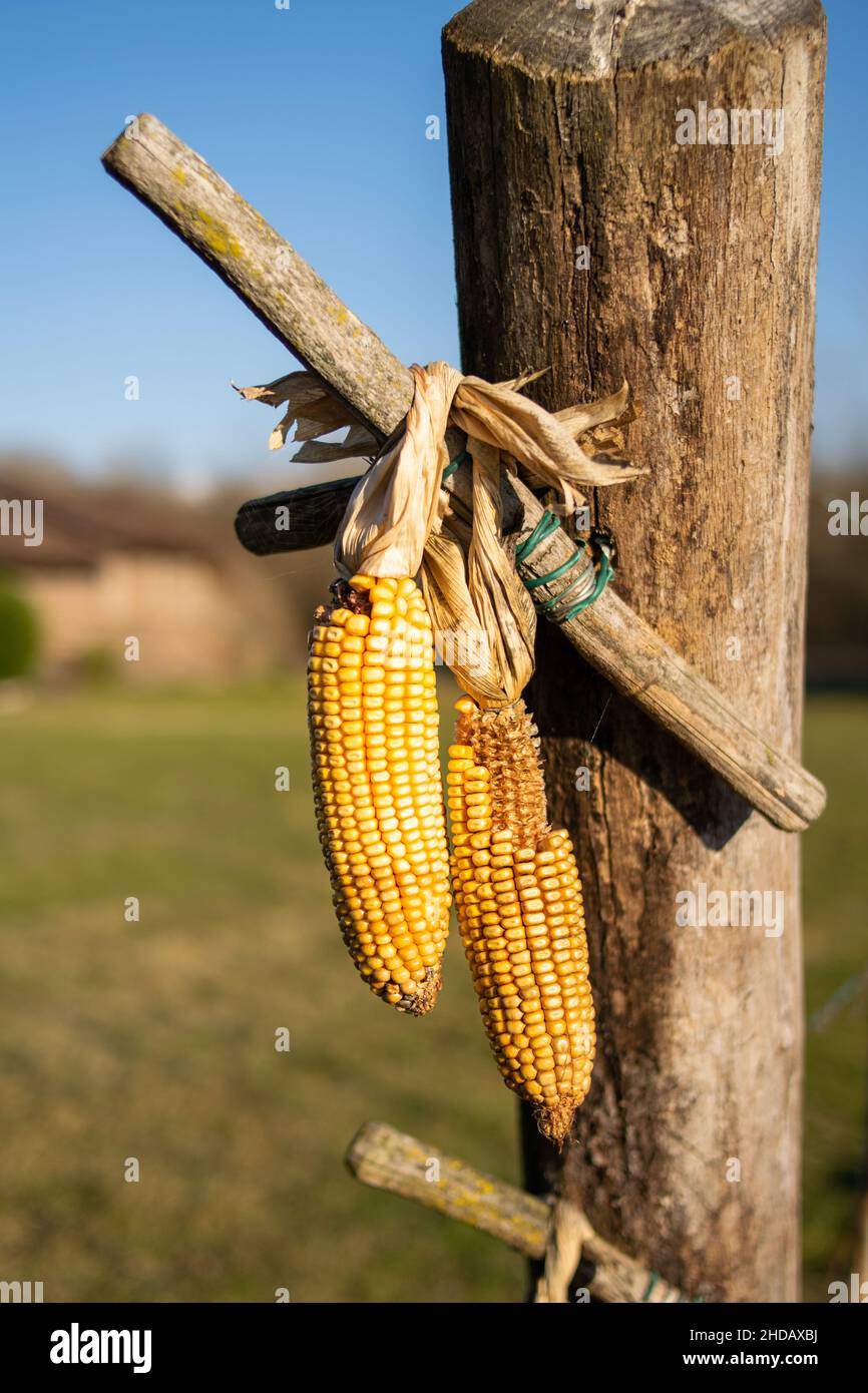 Hanging on a pole hi-res stock photography and images - Alamy