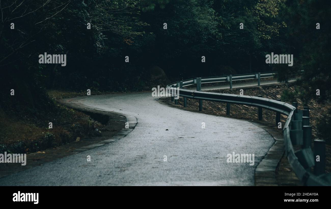 Twisting forest hi-res stock photography and images - Alamy