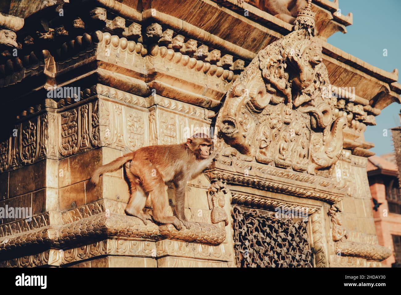 Swayambhunath Temple, The Monkey Temple in Kathmandu Valley, Nepal ...