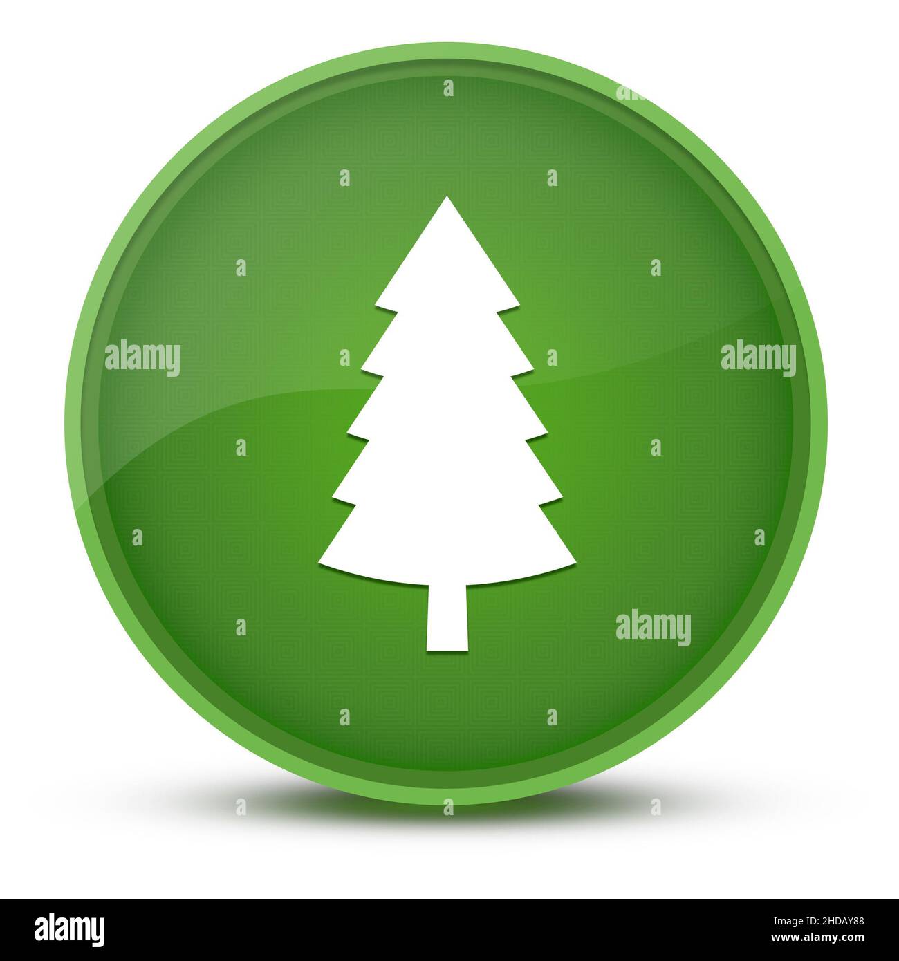 Evergreen conifer pine tree luxurious glossy green round button ...