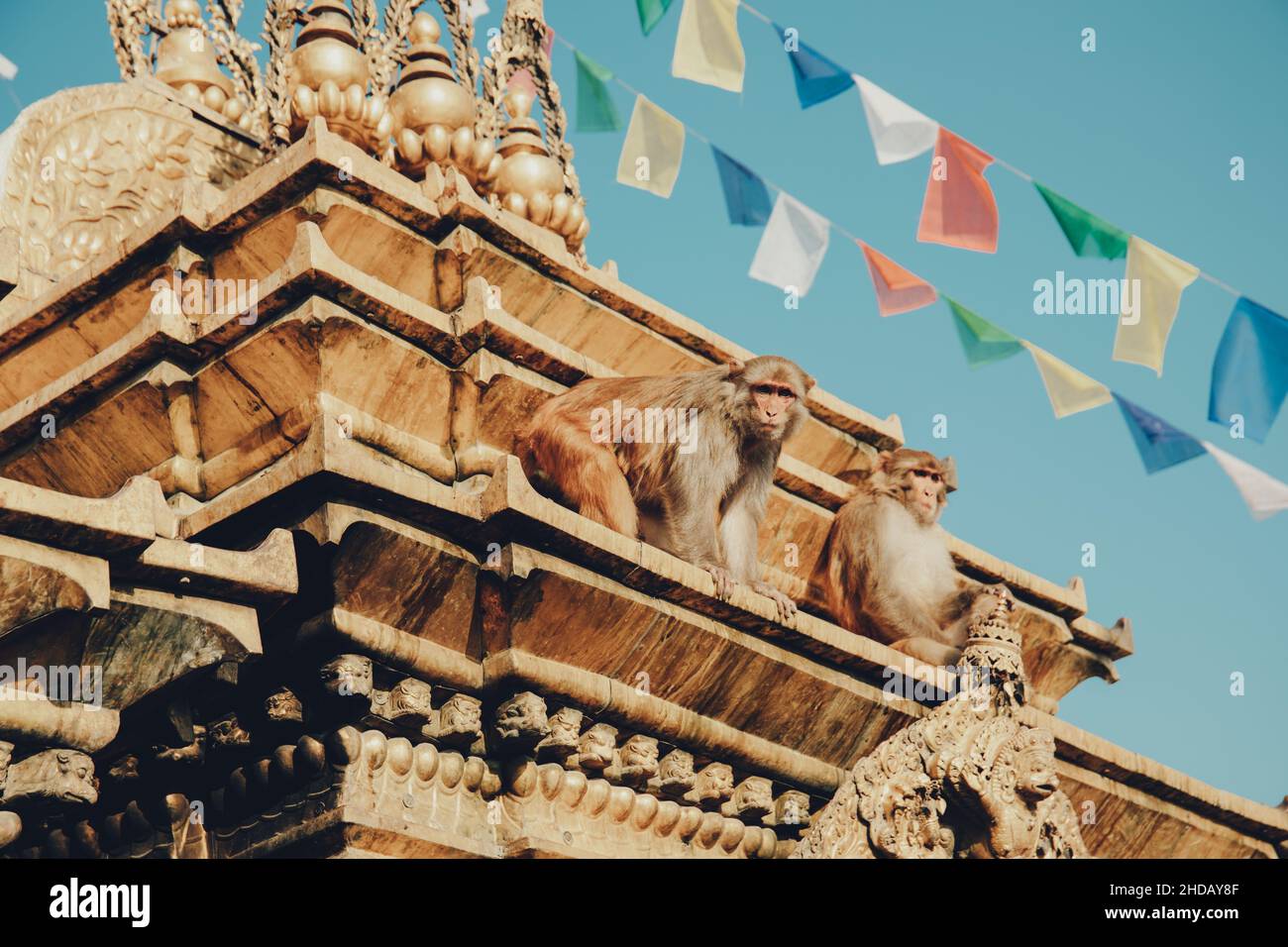 Swayambhunath Temple, The Monkey Temple in Kathmandu Valley, Nepal ...