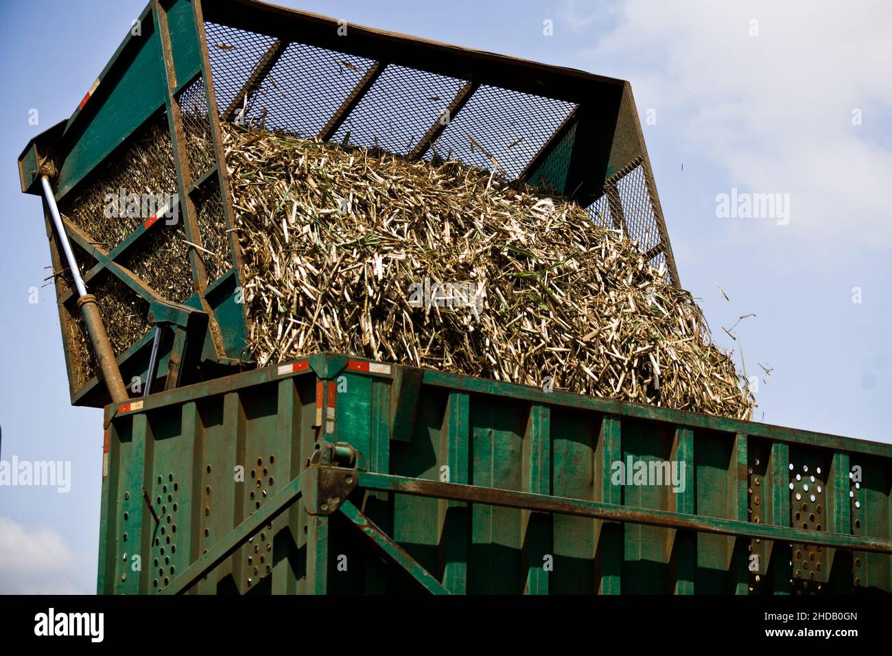 Brazil agriculture field harvesting hi-res stock photography and images ...