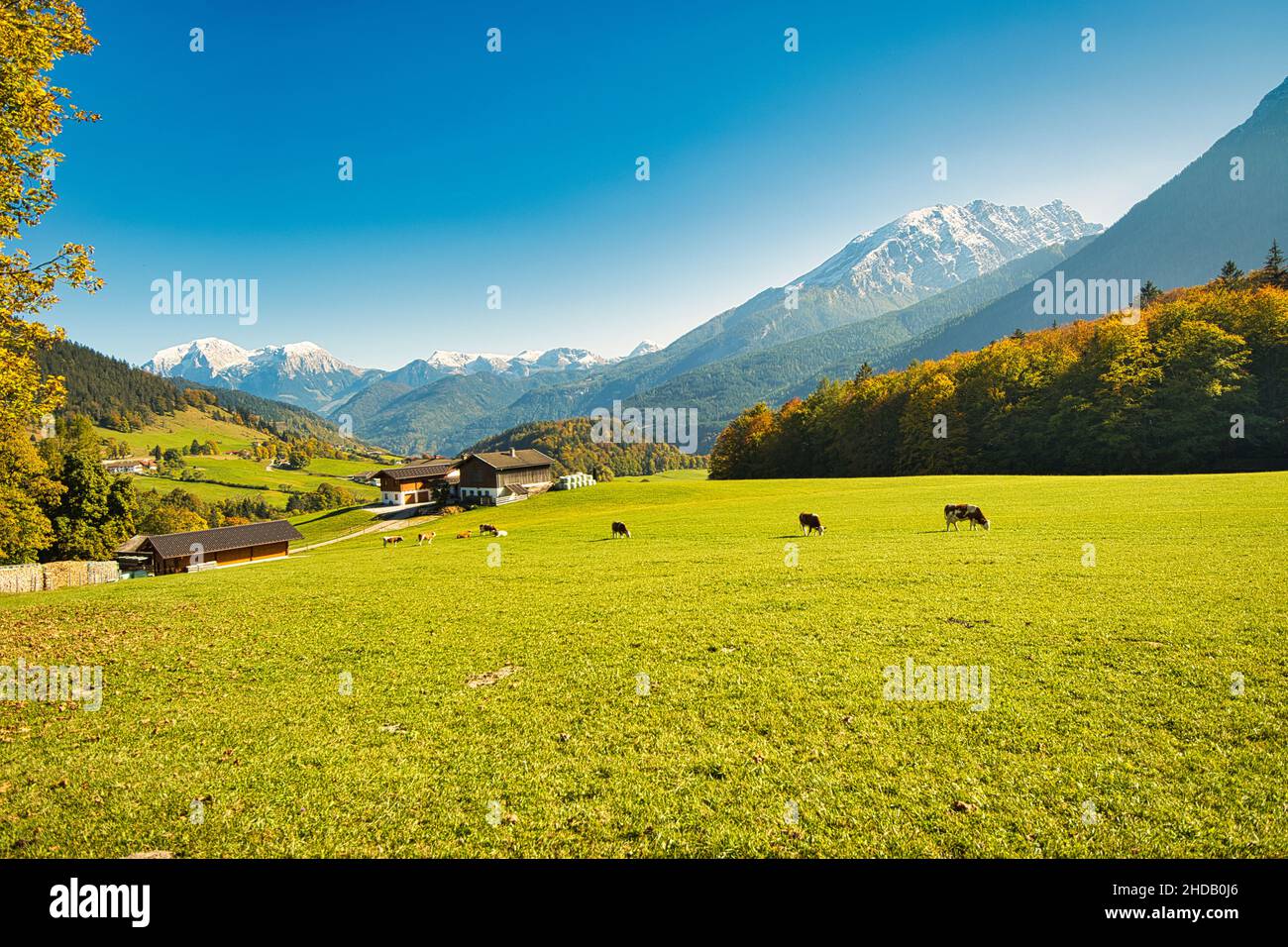 Beautiful alpine landscape in Bavaria and Austria Stock Photo - Alamy