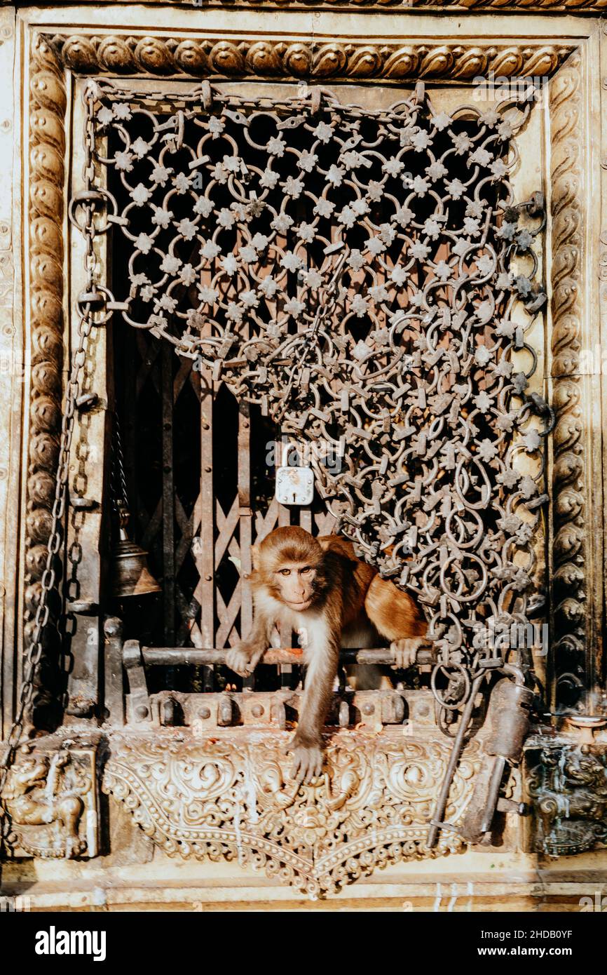 Swayambhunath Temple, The Monkey Temple in Kathmandu Valley, Nepal ...