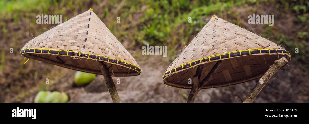 Balinese traditional straw hat in rice field BANNER, long format Stock ...