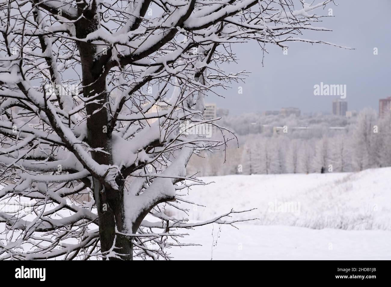Frosty day. Real winter and snowfall. High quality photo Stock Photo ...