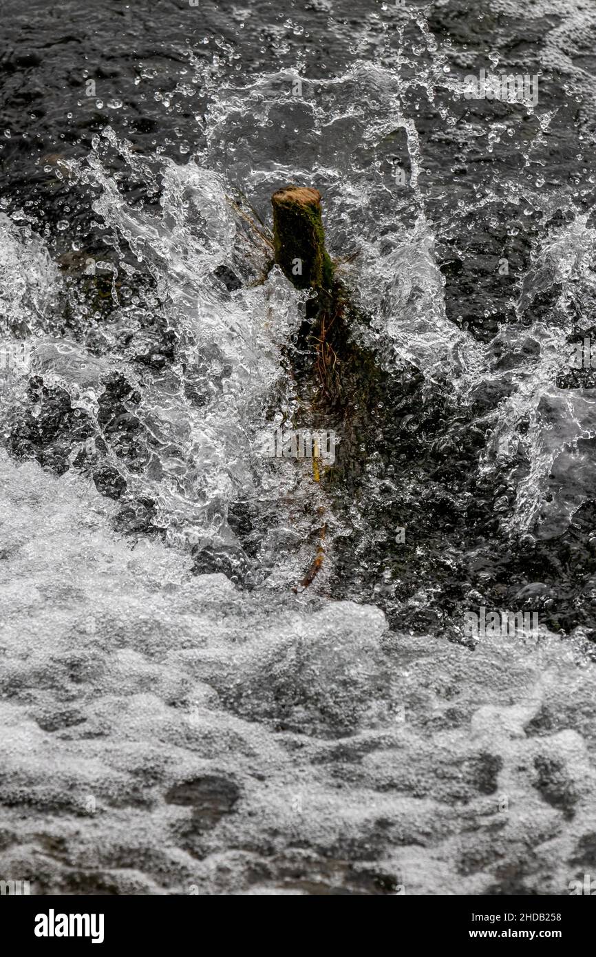 Tree trunk in splashing water Stock Photo - Alamy