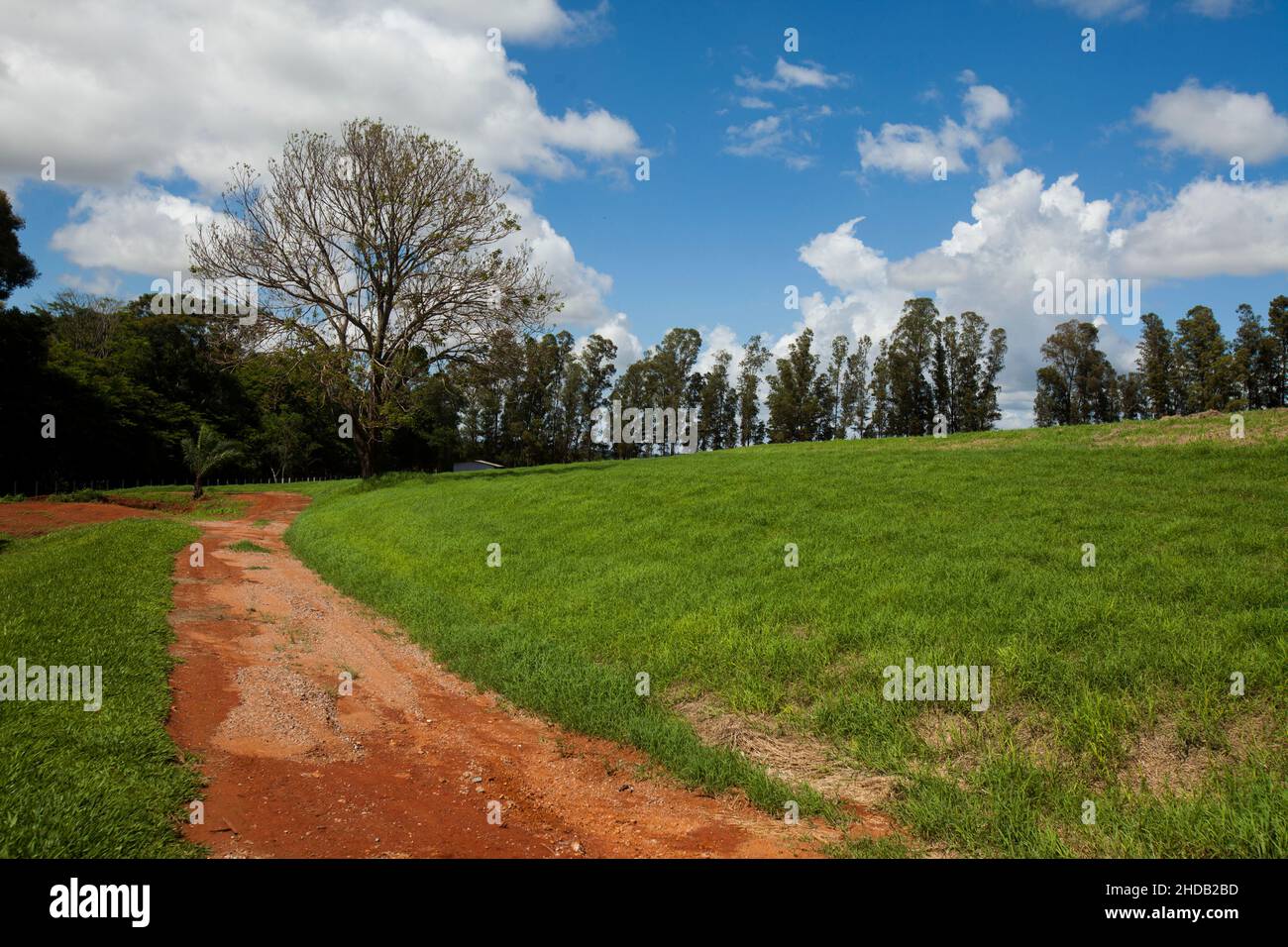 Agricultural land of a farm. Location place in Brazil, agricultural ...