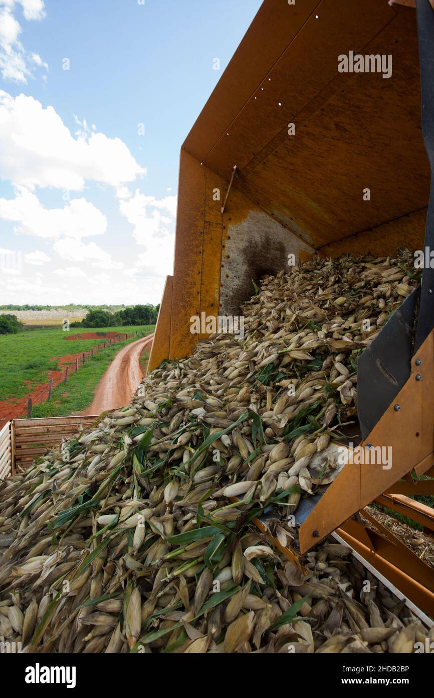 Agricultural land of a farm. Location place in Brazil, agricultural ...