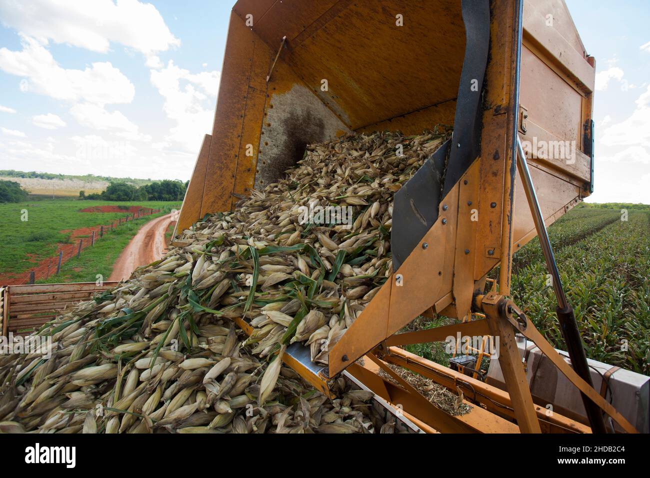 Agricultural land of a farm. Location place in Brazil, agricultural ...