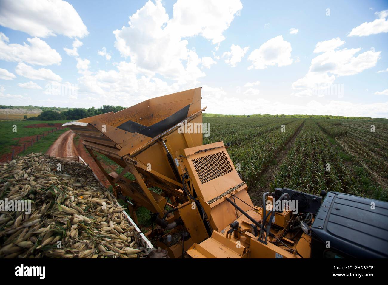 Agricultural land of a farm. Location place in Brazil, agricultural ...