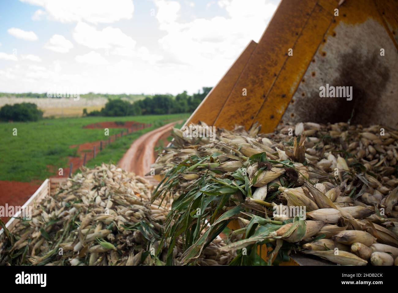 Agricultural land of a farm. Location place in Brazil, agricultural ...