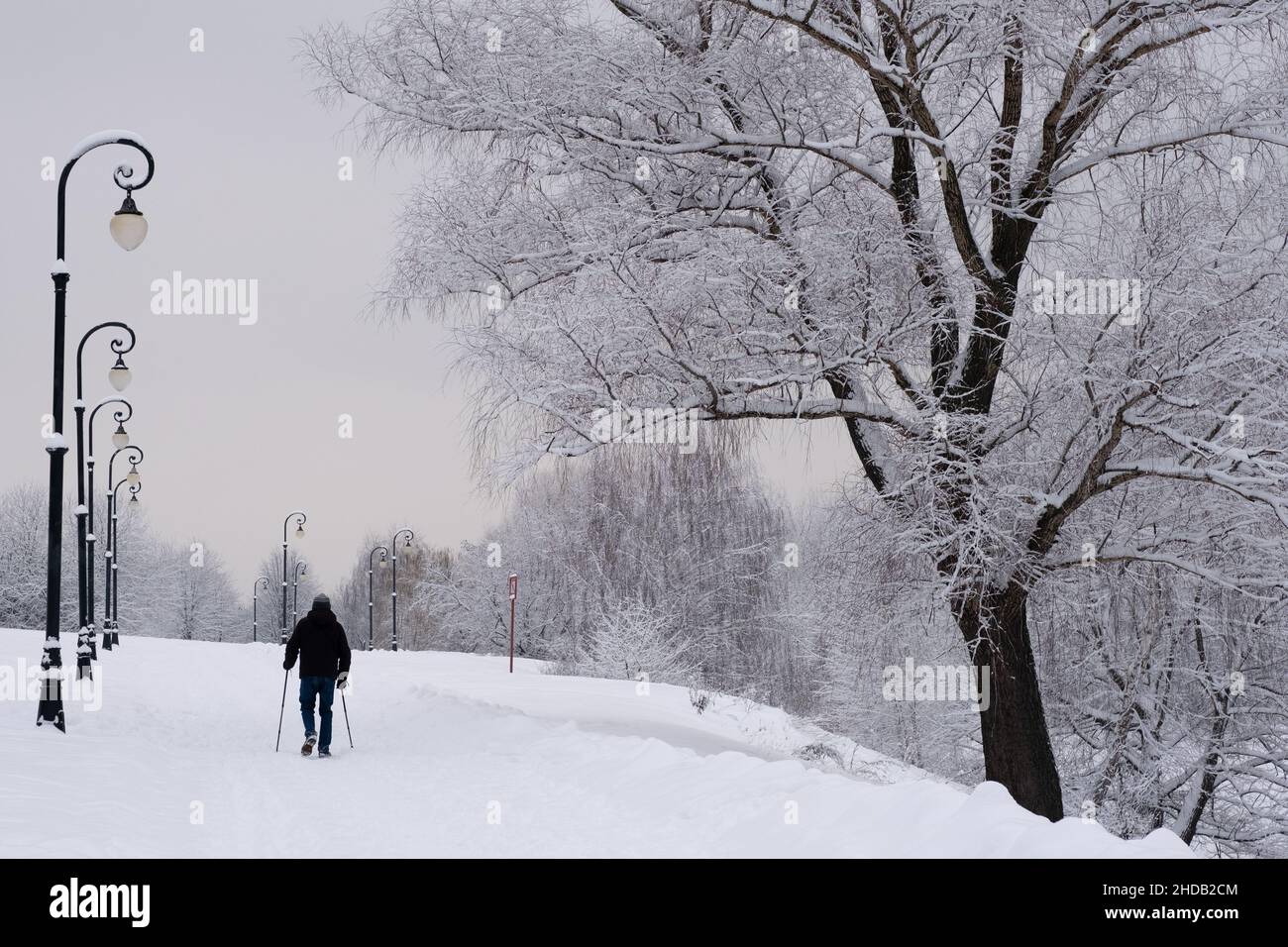 Frosty day. Real winter and snowfall. High quality photo Stock Photo ...