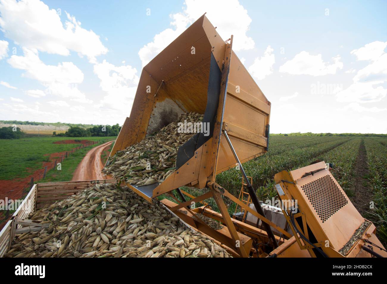 Agricultural land of a farm. Location place in Brazil, agricultural ...