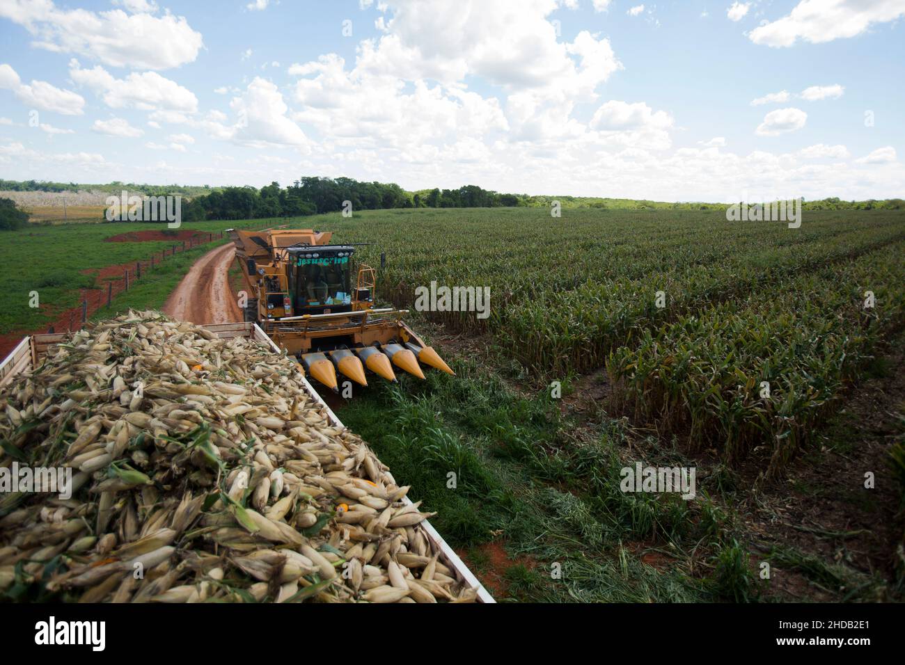 Agricultural land of a farm. Location place in Brazil, agricultural ...