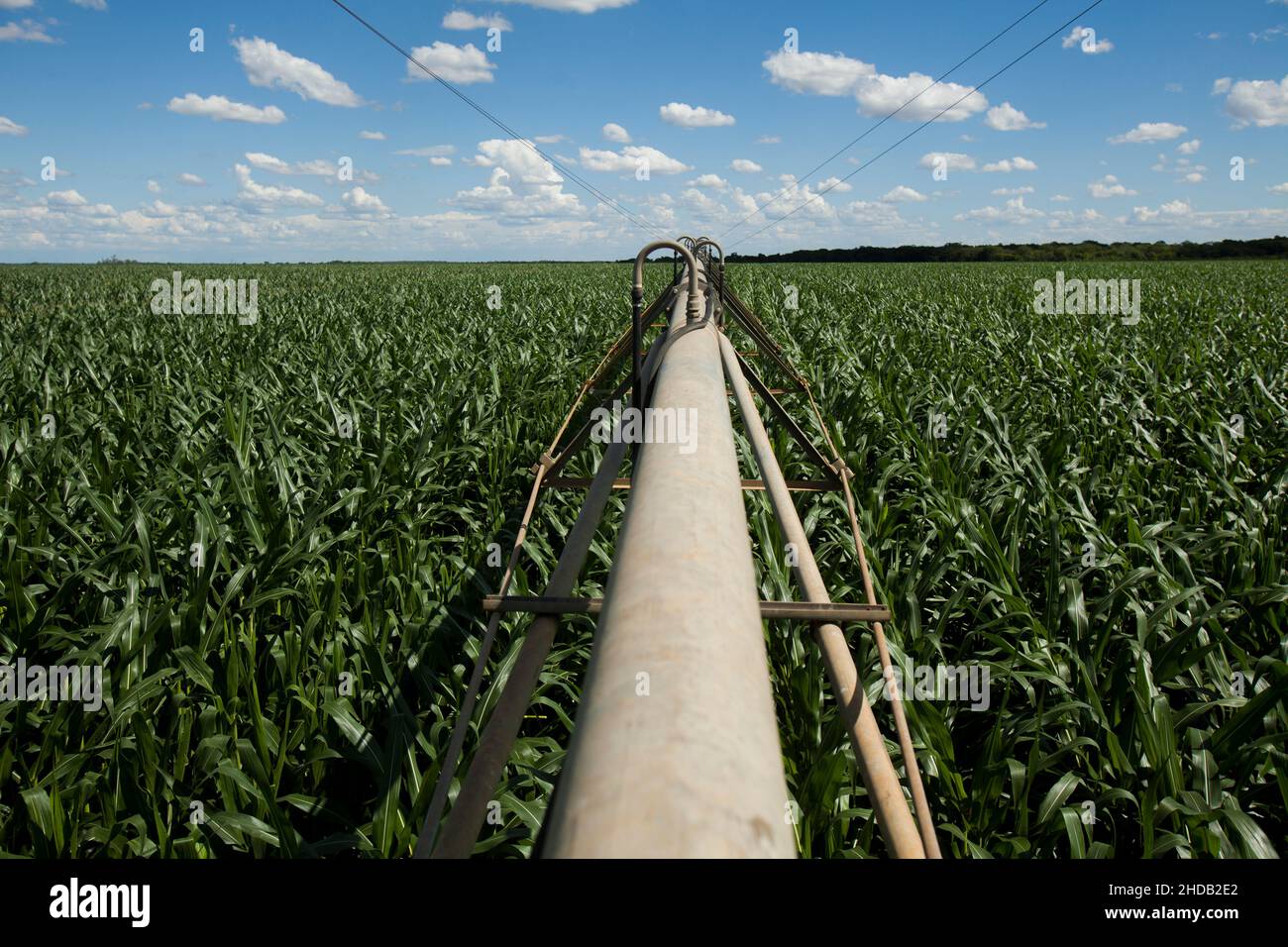 Agricultural land of a farm. Location place in Brazil, agricultural ...