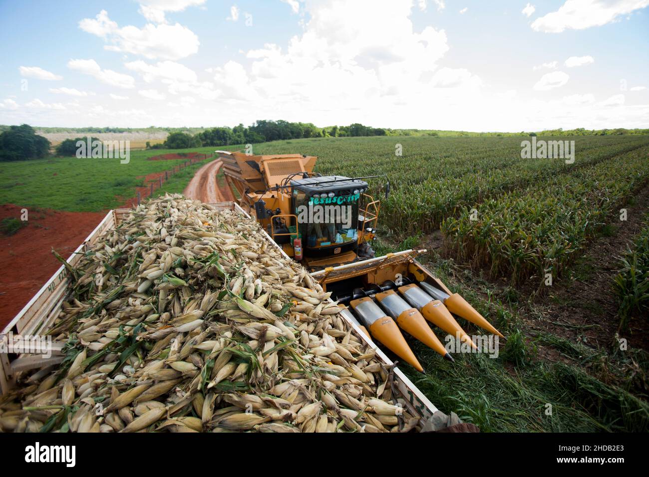 Agricultural land of a farm. Location place in Brazil, agricultural ...