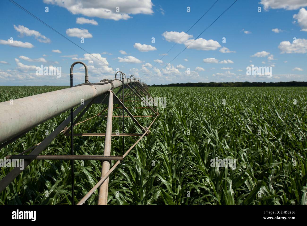 Agricultural land of a farm. Location place in Brazil, agricultural ...