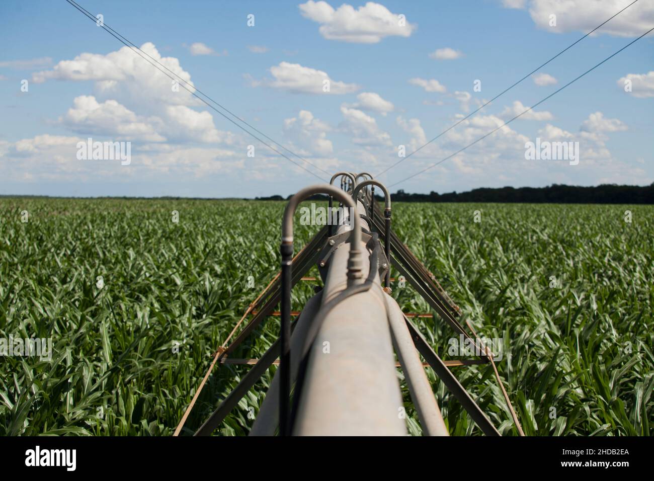 Agricultural land of a farm. Location place in Brazil, agricultural ...