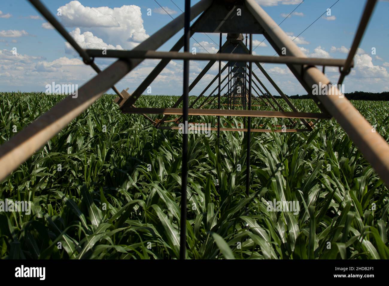 Agricultural land of a farm. Location place in Brazil, agricultural ...