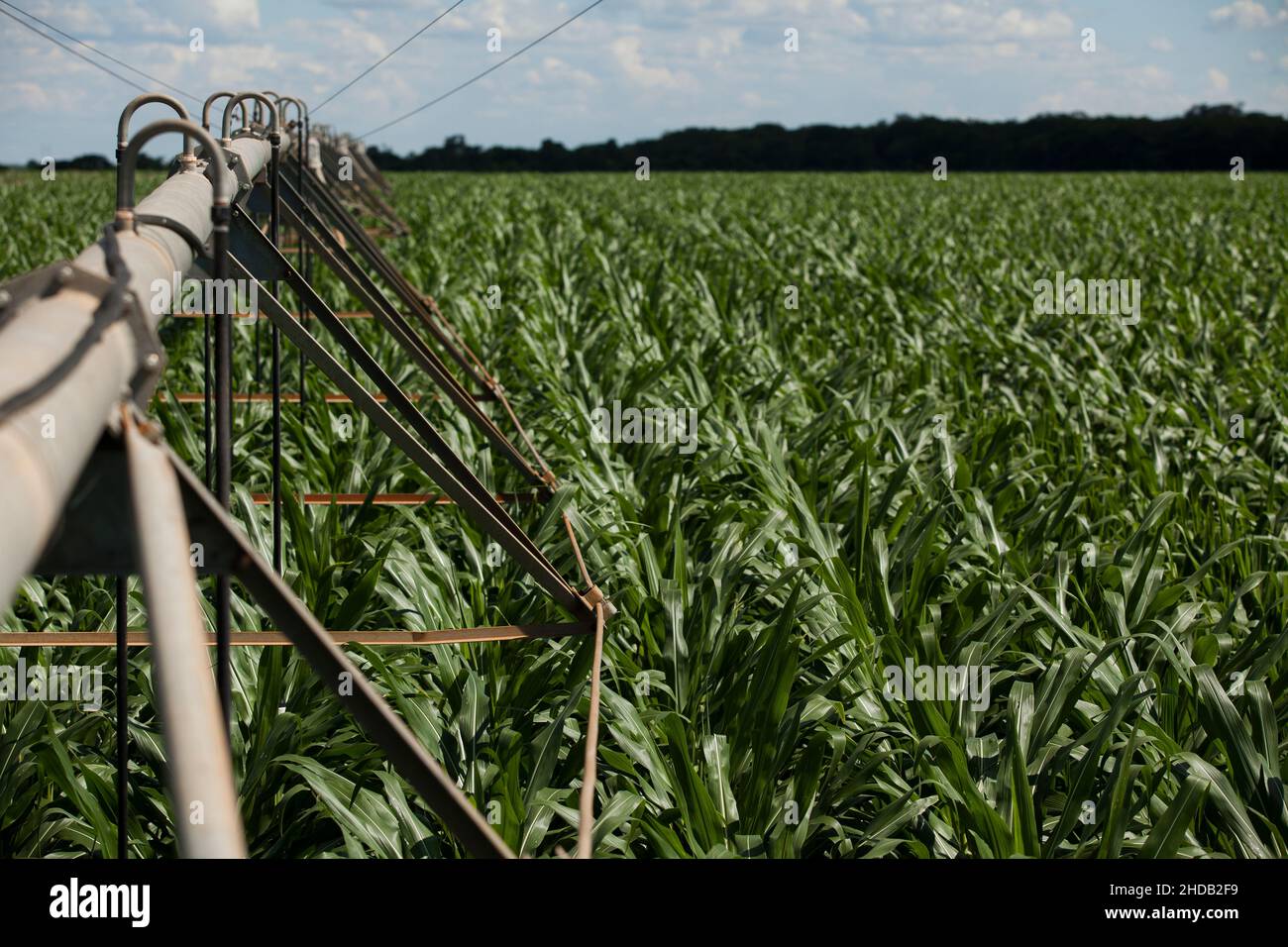 Agricultural land of a farm. Location place in Brazil, agricultural ...