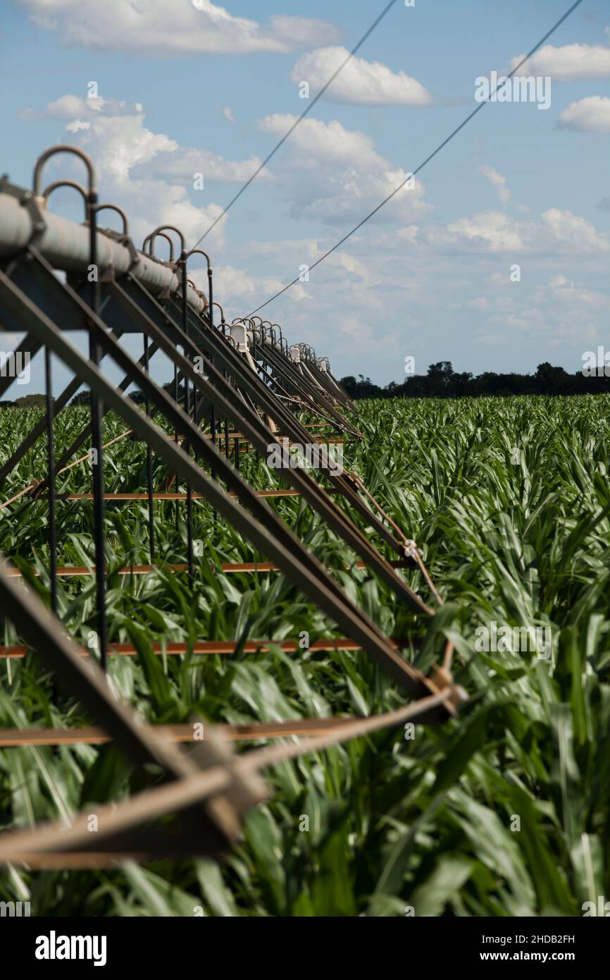 Agricultural land of a farm. Location place in Brazil, agricultural ...