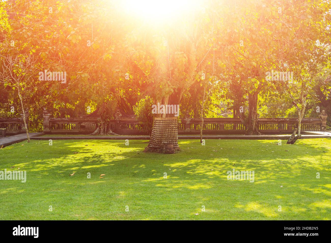 Sarong on the sacred tree, Bali Indonesia with sunlight Stock Photo - Alamy
